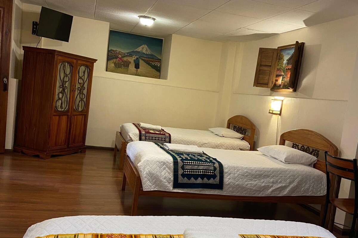 Quarto de hotel com duas camas de solteiro, um guarda-roupa de madeira, uma pintura de uma montanha e uma televisão fixada na parede.
