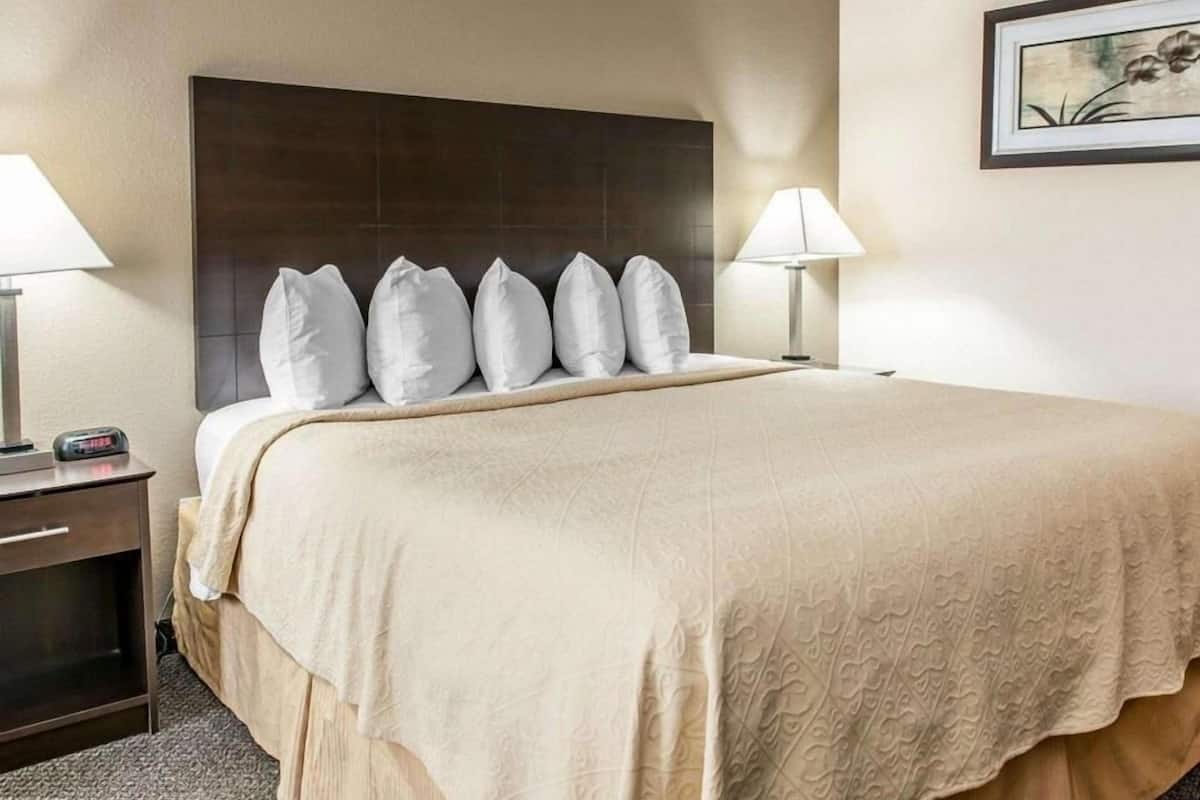 Quarto de hotel com uma cama grande, duas mesas de cabeceira, um criado-mudo e uma moldura com um quadro na parede.