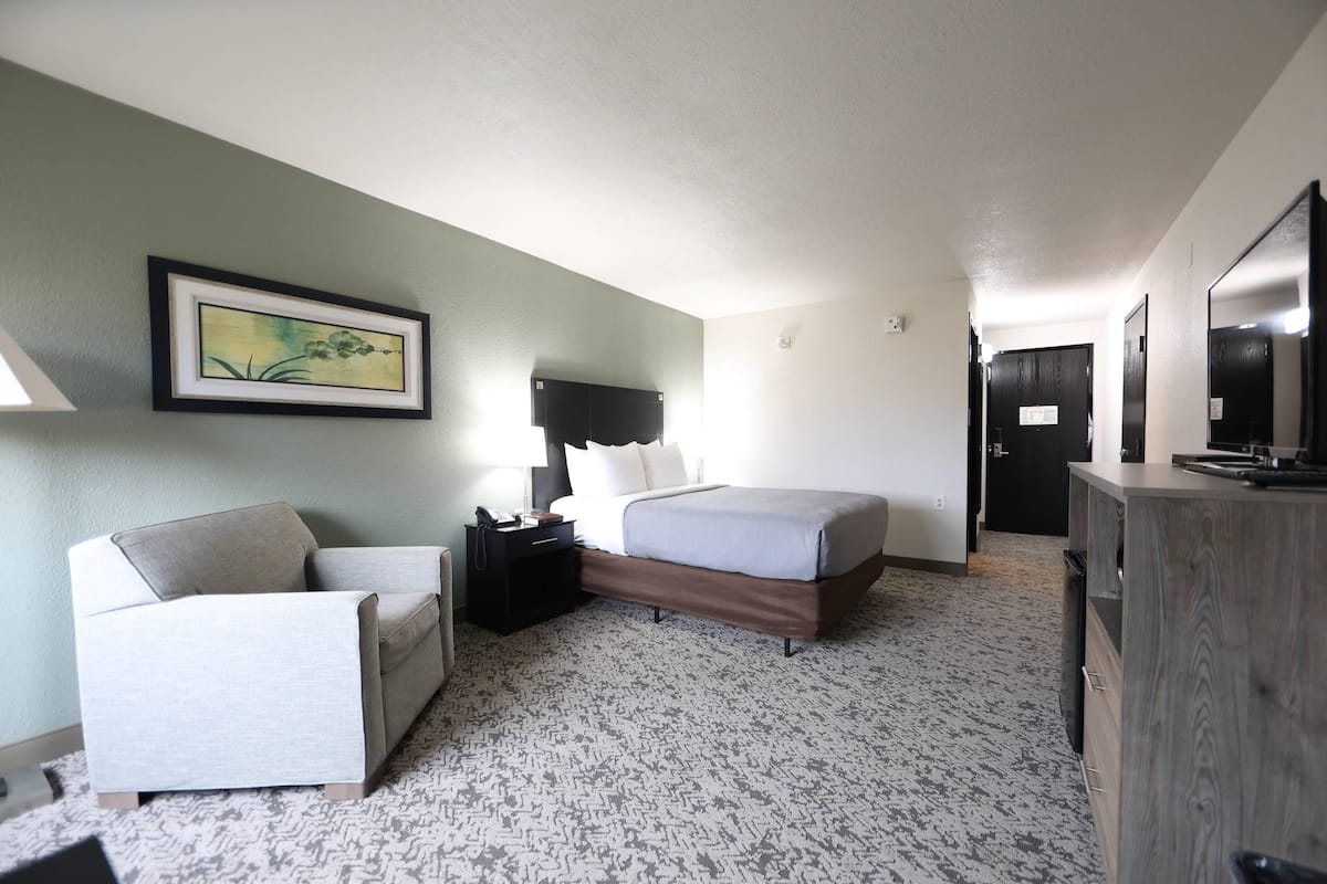 Quarto de hotel com cama, uma cadeira, escrivaninha, luminária, televisão e quadro pendurado na parede.