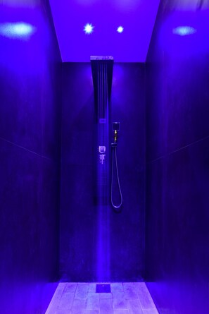 Suíte, vista para o mar | Banheiro | Chuveiro, produtos de toalete grátis, secador de cabelo 