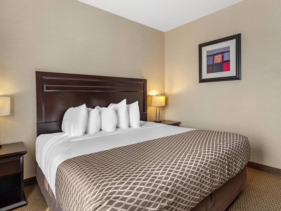Quarto de hotel com uma cama grande, uma mesa de cabeceira, um abajur e um quadro na parede.