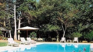 Piscina com espreguiçadeiras e guarda-sóis, cercada por árvores.