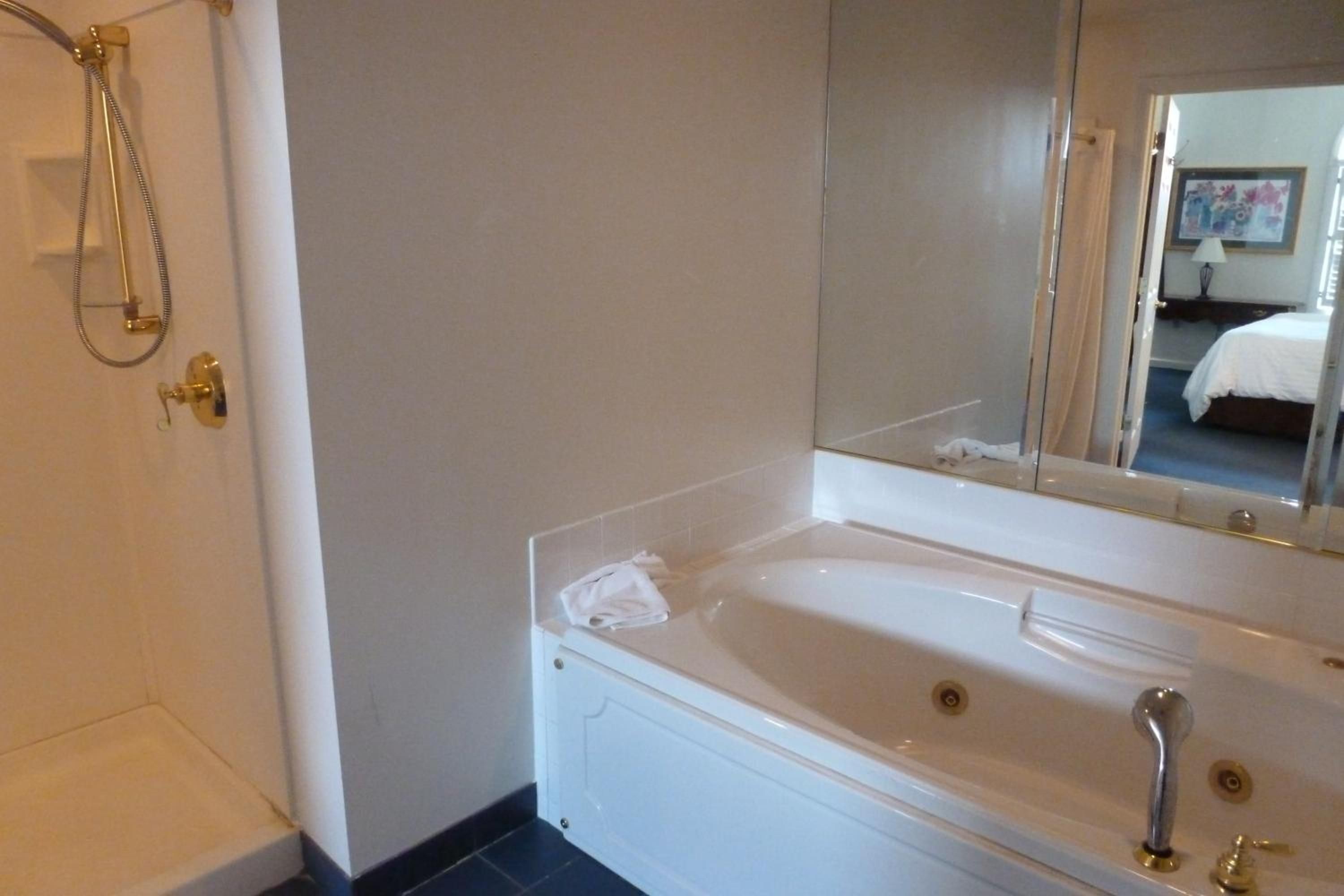Casa de banho com banheira, chuveiro e espelho refletindo uma cama e um quadro na parede.