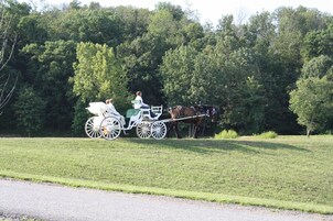 Uma carruagem puxada a cavalo em um campo gramado, com uma floresta ao fundo.