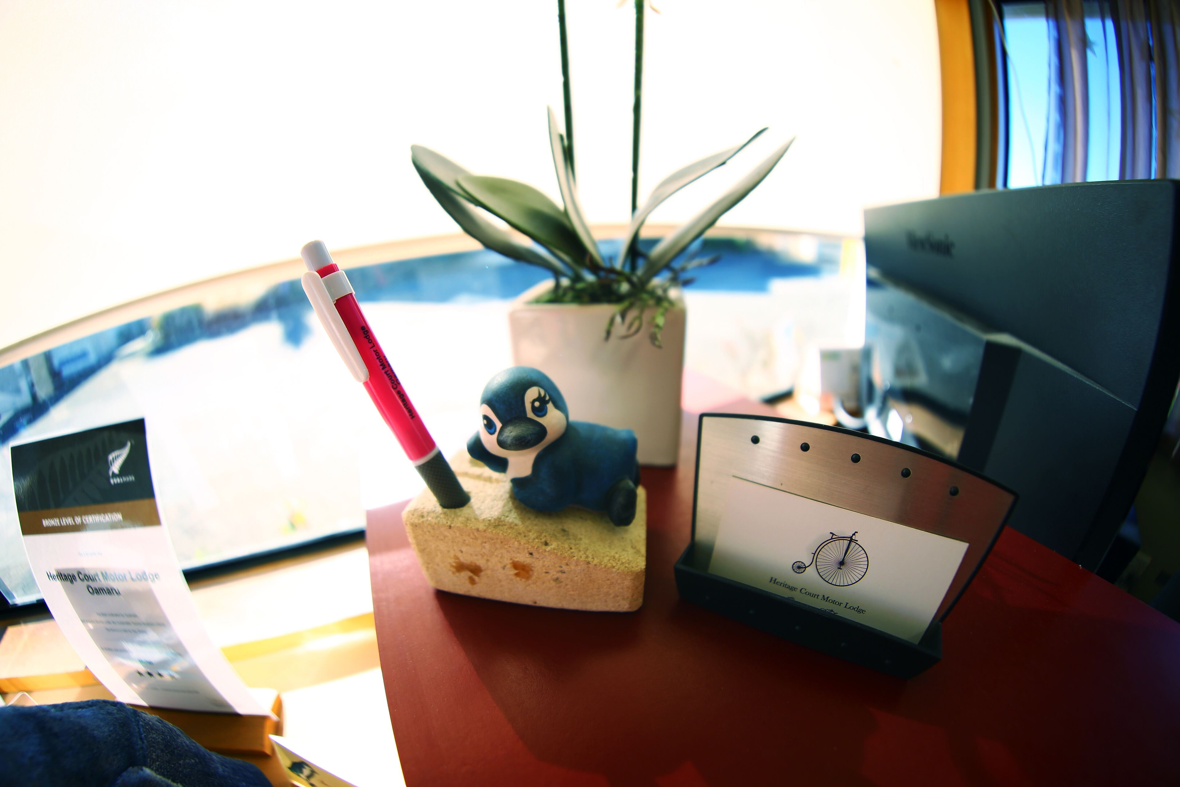 Uma mesa com uma planta, uma caneta, um folheto e um laptop.