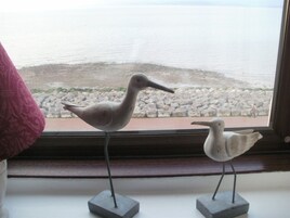 Vista da propriedade