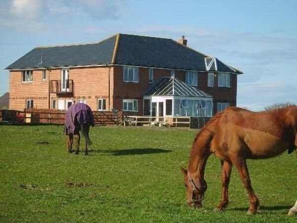 Springwood B&b - Seahouses