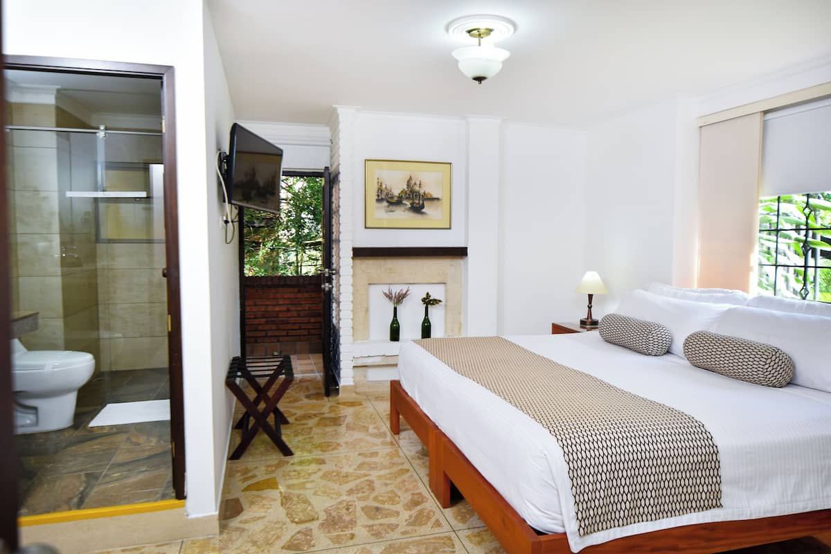 Quarto de hotel com cama, televisão, lareira e zona de duche.