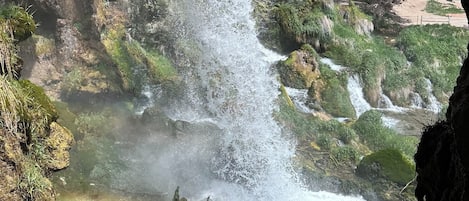 Uma cascata despencando por um penhasco rochoso, rodeada por vegetação exuberante.