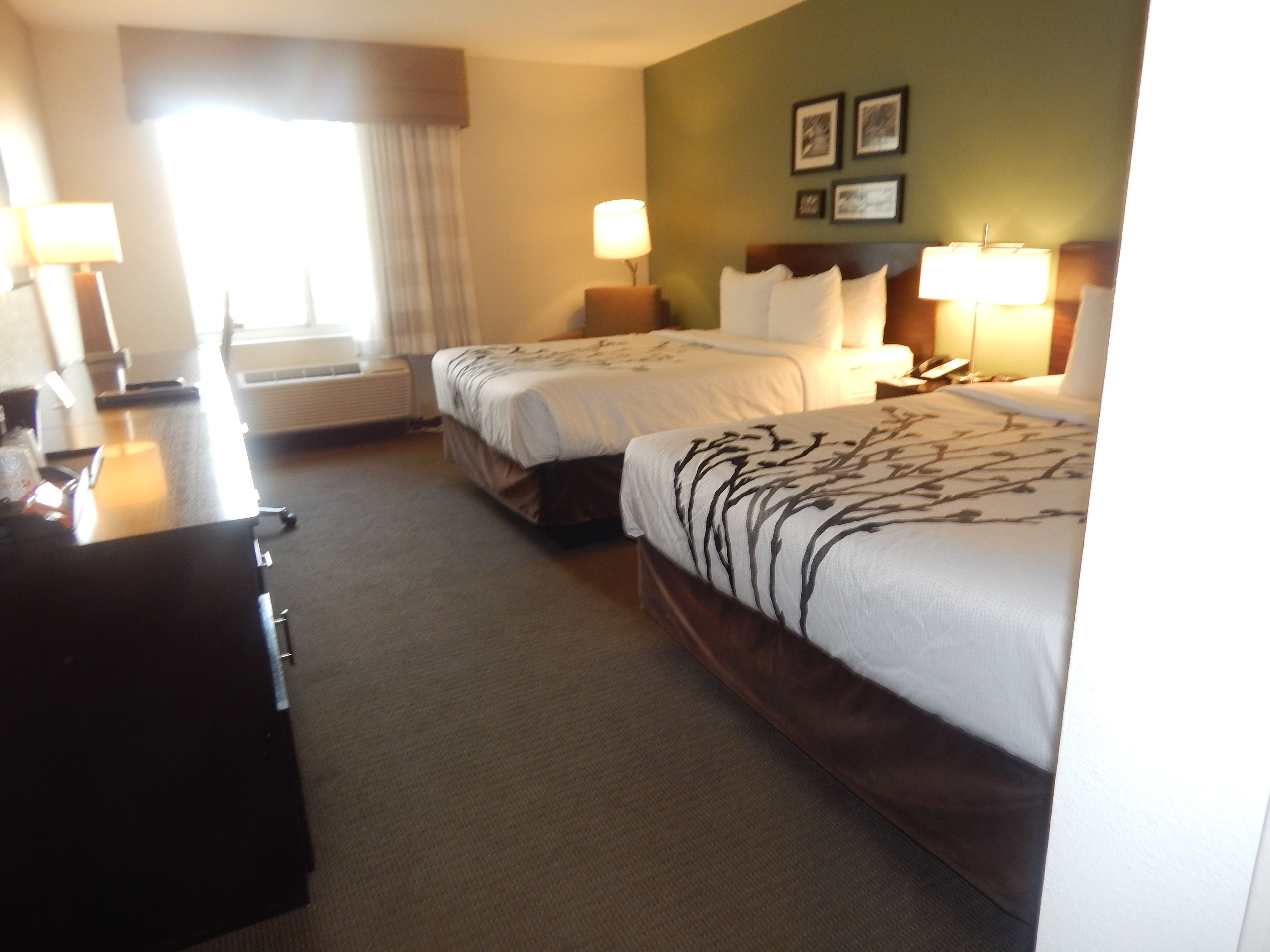 Quarto de hotel com duas camas, uma escrivaninha e uma cadeira. Há luminárias em cada lado das camas e uma janela com cortinas.