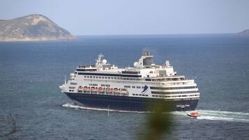 Um grande navio de cruzeiro com vários decks e um bote salva-vidas visível.