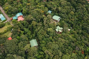 Vista aérea de uma área arborizada com vários edifícios com telhados verdes, cercada por árvores densas.