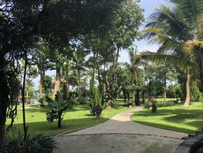 Jardim