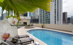 Piscina exterior, guarda-sóis, espreguiçadeiras 