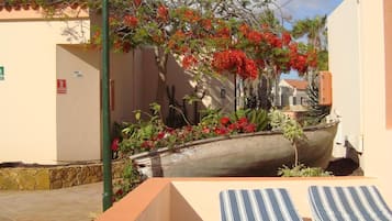 Uma área de estar ao ar livre com luz do sol, cadeiras de lounge listradas, um lampião e um grande vaso com flores vermelhas.