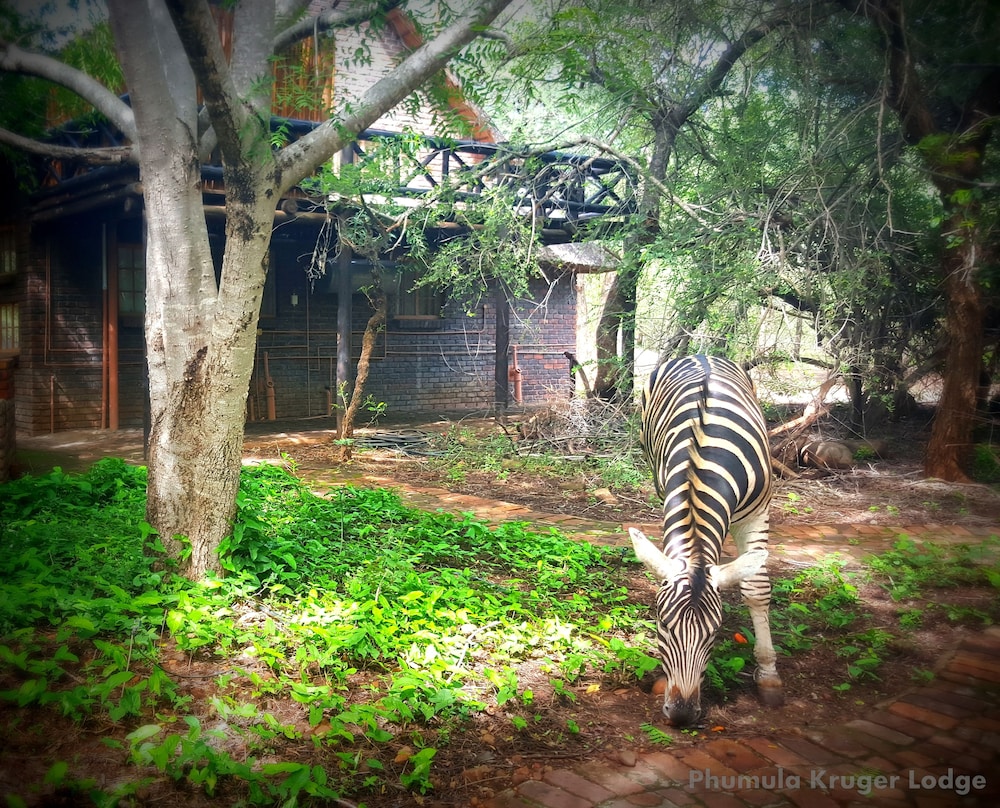 Phumula Kruger Lodge - Marloth Park