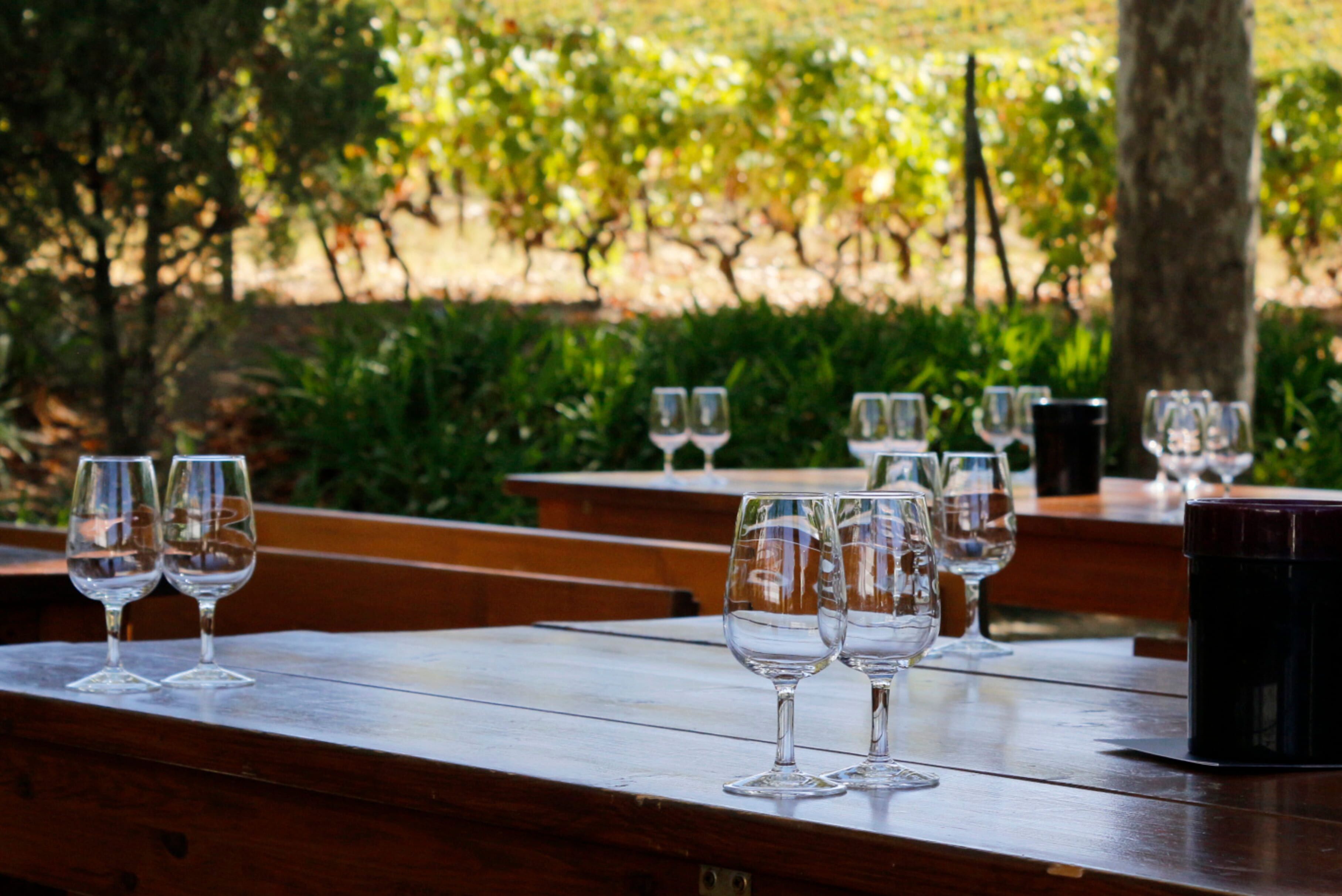 Uma mesa de madeira com copos de vinho vazios e um recipiente preto, colocada ao ar livre, com um vinhedo ao fundo.