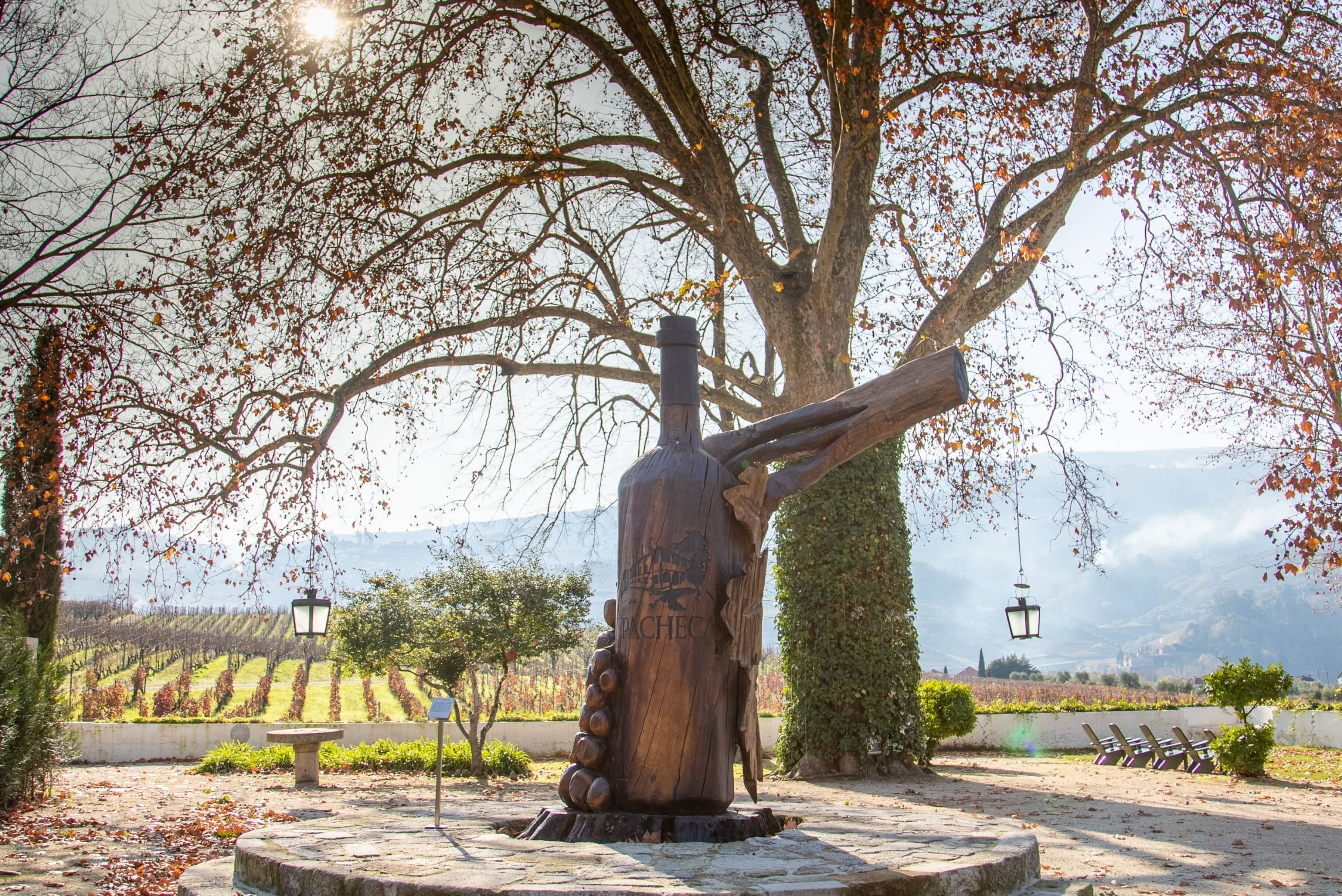 Uma escultura de madeira com um banco em um parque, com vinhedos ao fundo.