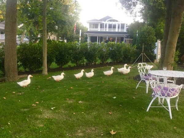 Walden On The Pond Hotel - Belmar, NJ