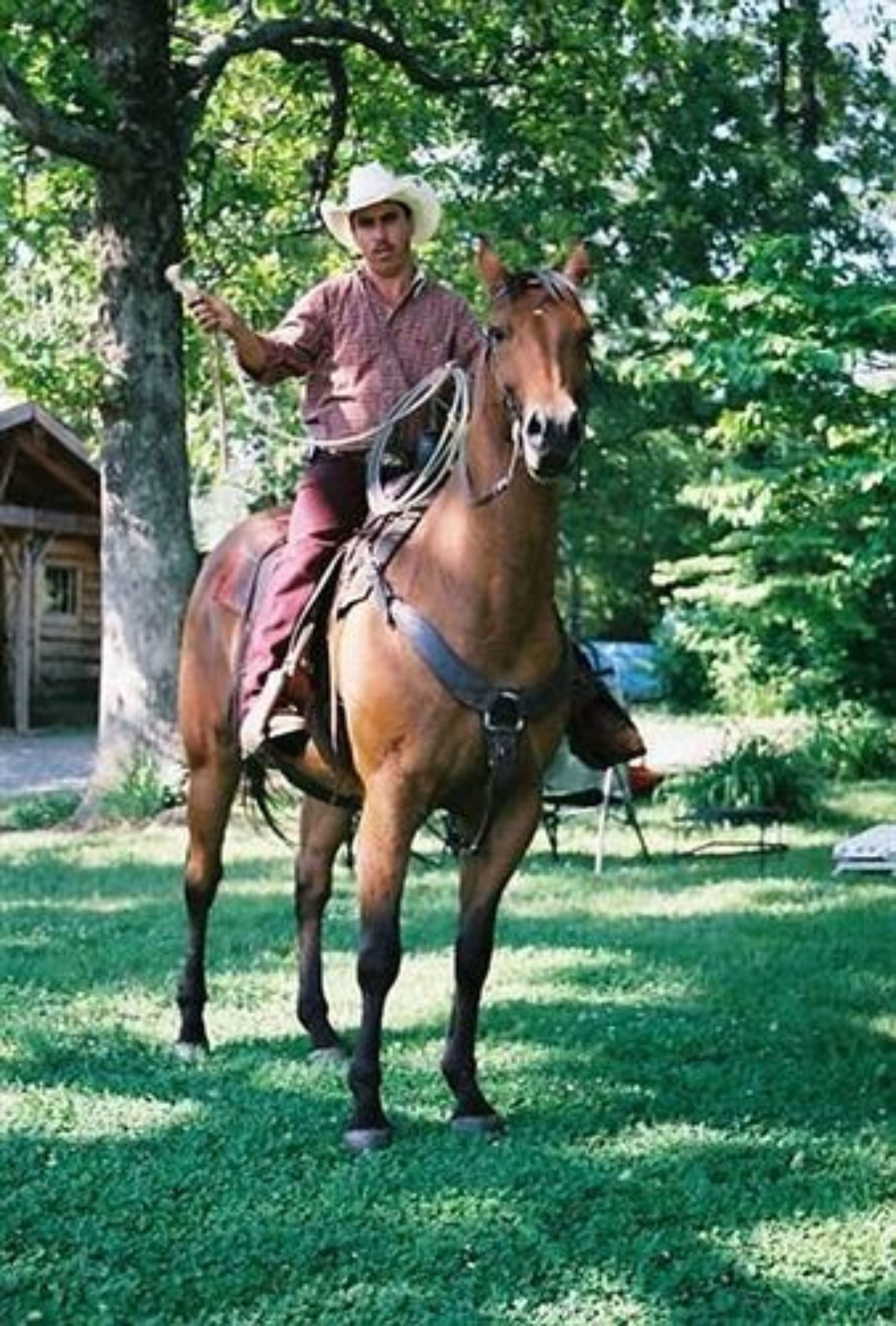 Uma pessoa a cavalo em área gramada, com árvores e uma estrutura de madeira ao fundo.