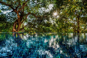 Piscina interior, 2 piscinas exteriores 