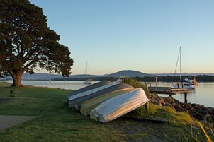Uma área à beira-mar com barcos atracados perto de uma árvore e um cais.