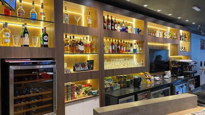 Ibis Asuncion