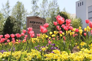 Placa do Rusutsu Resort cercada por um jardim de tulipas rosa e amarelas.