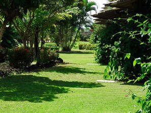 Jardim