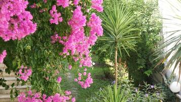 Terrenos do alojamento