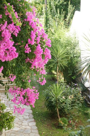 Área da propriedade