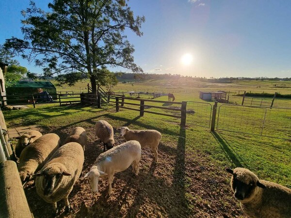Clandulla Cottages - Queensland