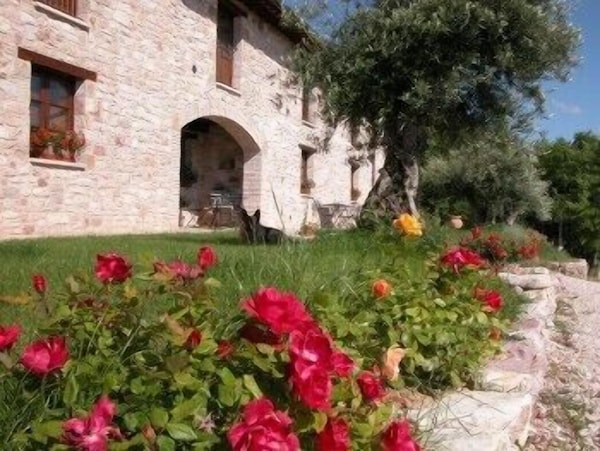 Le Mandrie Di San Paolo - Farm Home - Assisi