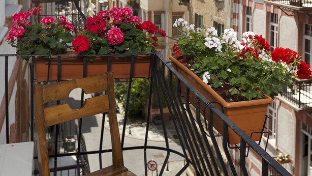Dormitório Partilhado, apenas para mulheres | Varanda
