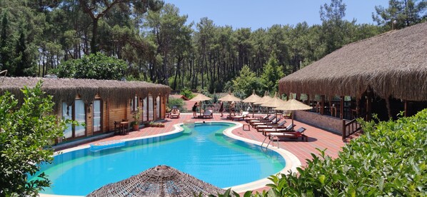 Standard Room, Pool View 6 | Roupa hipoalergénica, camas de colchão Select Comfort, minibar 