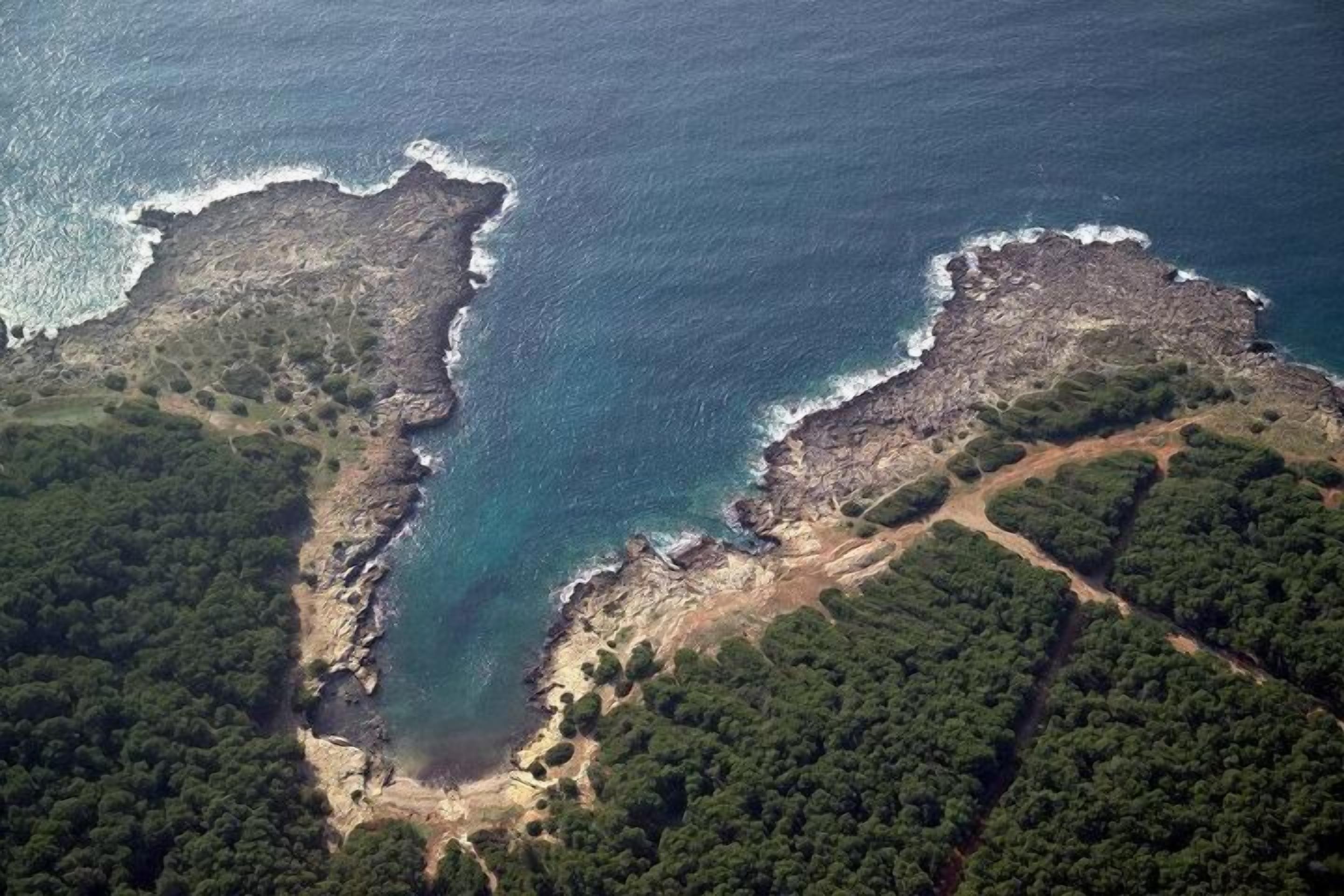 Vista aérea de uma área costeira com terreno rochoso e floresta densa.