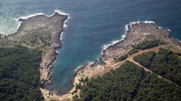 Vista aérea de uma área costeira com terreno rochoso e floresta densa.