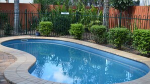 Piscina com borda de tijolos, cercada por um muro verde e diversas plantas.