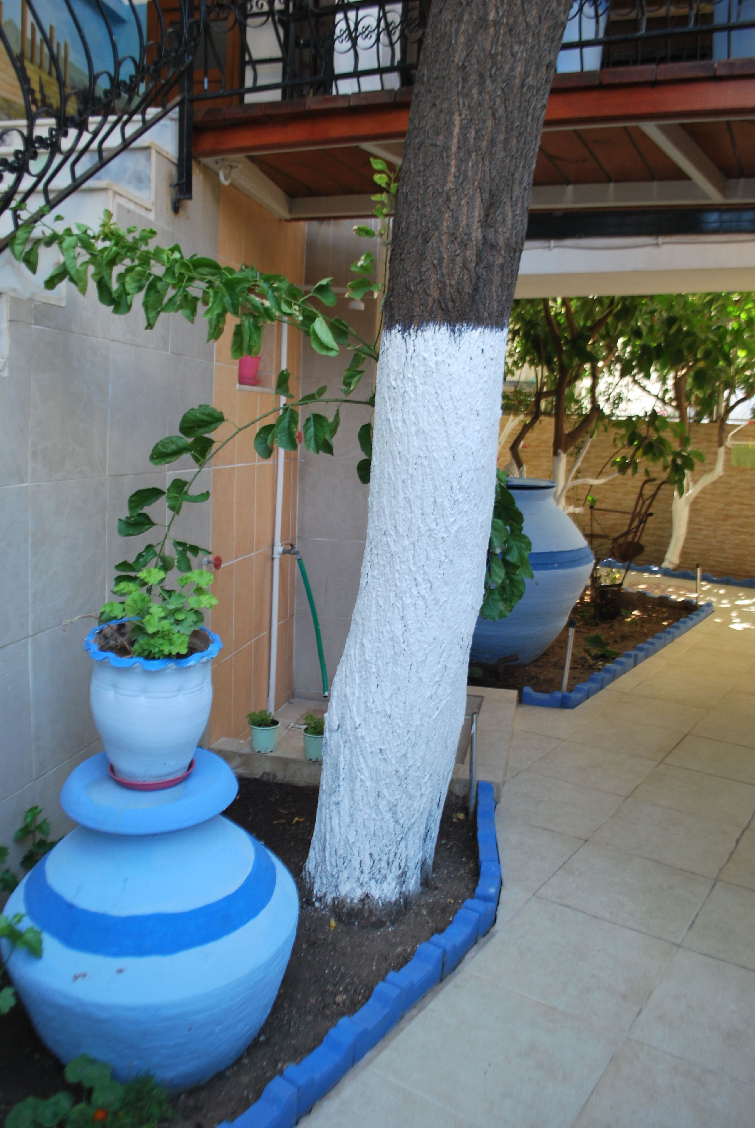 Pátio interior