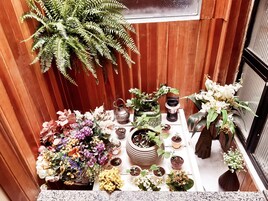 Detalhe da parte interna