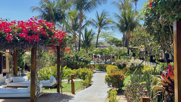 Um caminho serpenteia por um jardim com palmeiras, plantas floridas e áreas de estar ao ar livre.