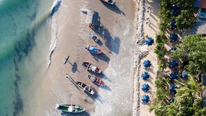 Uma praia com vários barcos, guarda-sóis e uma palmeira.