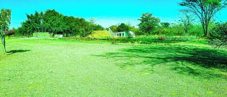 Um campo gramado com uma casa pequena e árvores ao fundo.