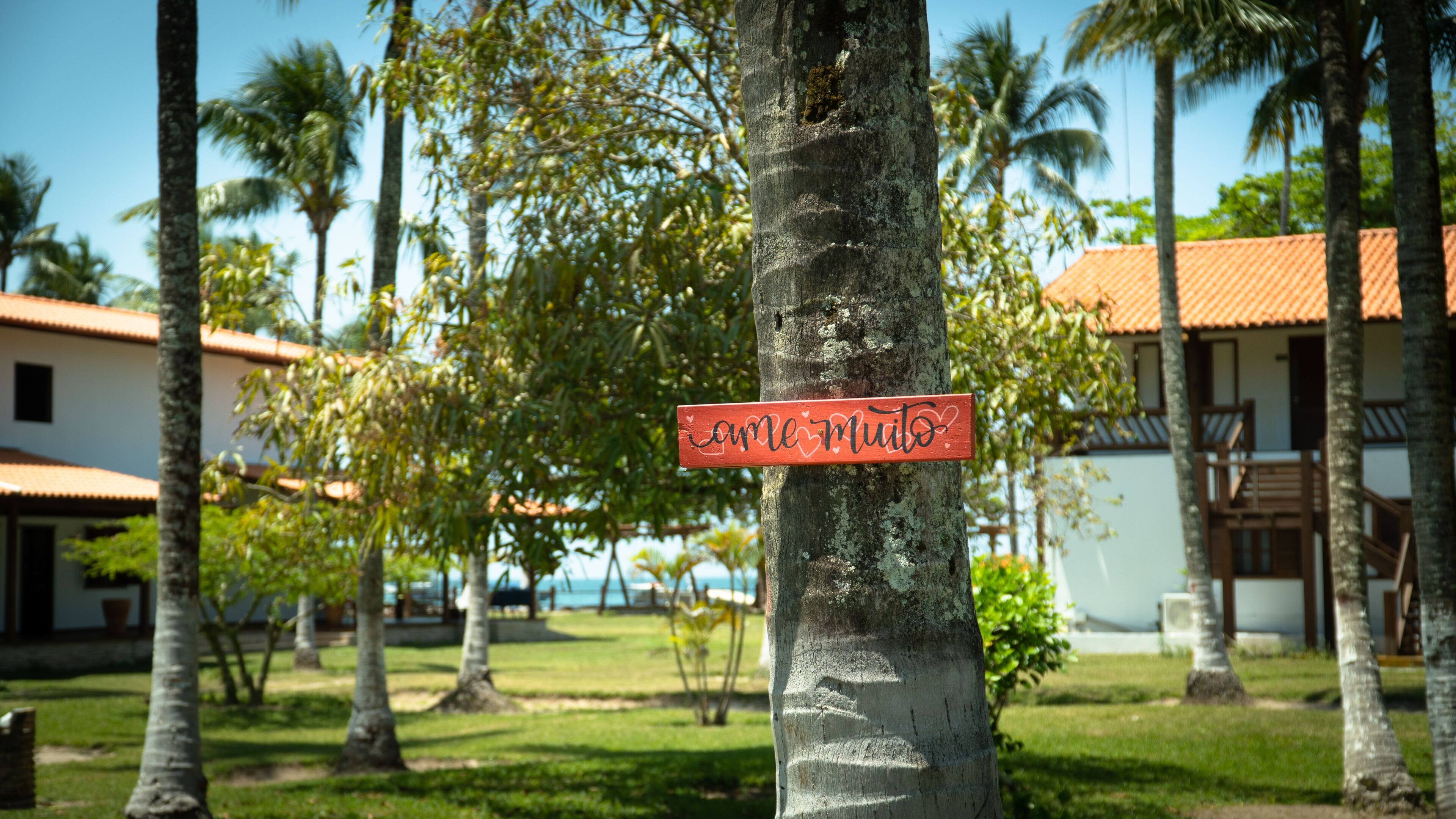 Uma árvore com uma placa que diz “lar doce lar” em um cenário tropical, com palmeiras e um edifício com telhado vermelho ao fundo.