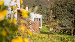 Um edifício branco com telhado vermelho, rodeado por vegetação e uma cerca de madeira.