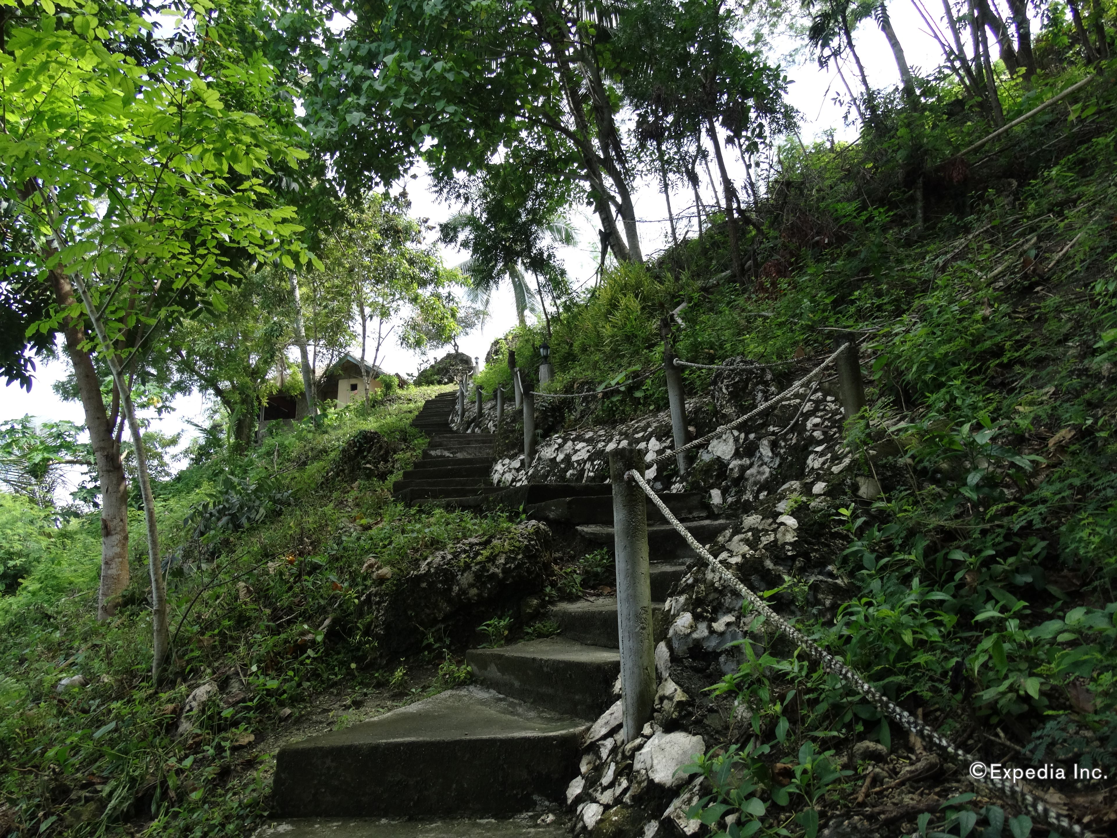 Degraus de pedra conduzem a um morro, cercados por vegetação exuberante e árvores.