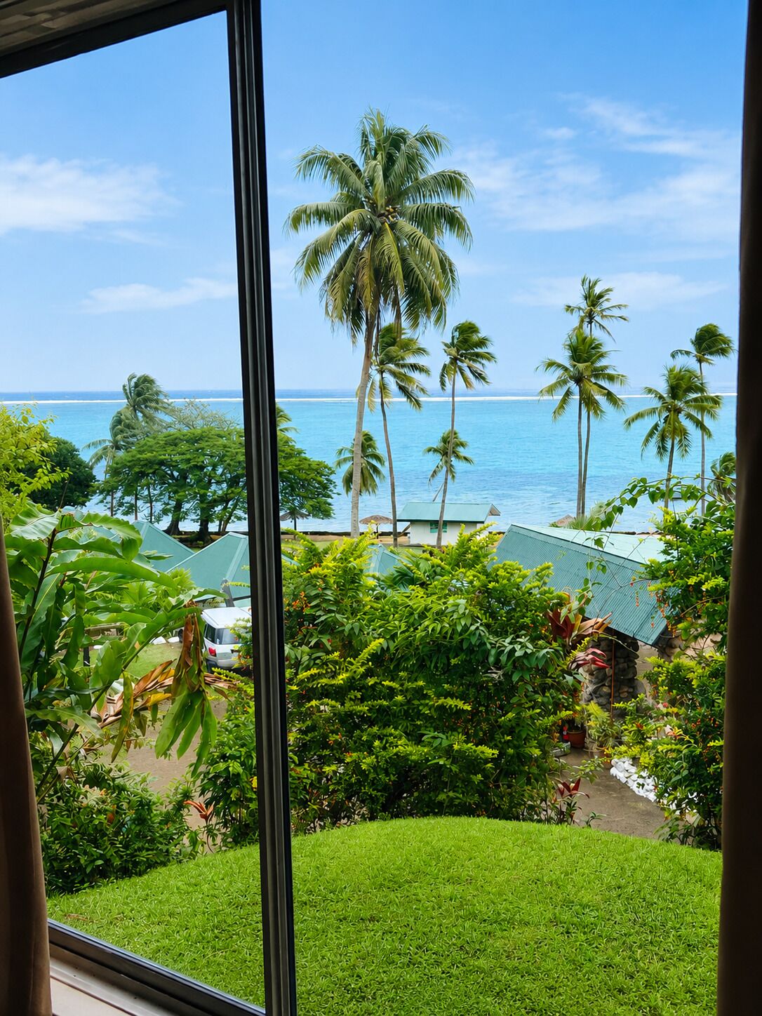 Vista de um jardim exuberante com palmeiras e um céu azul límpido.