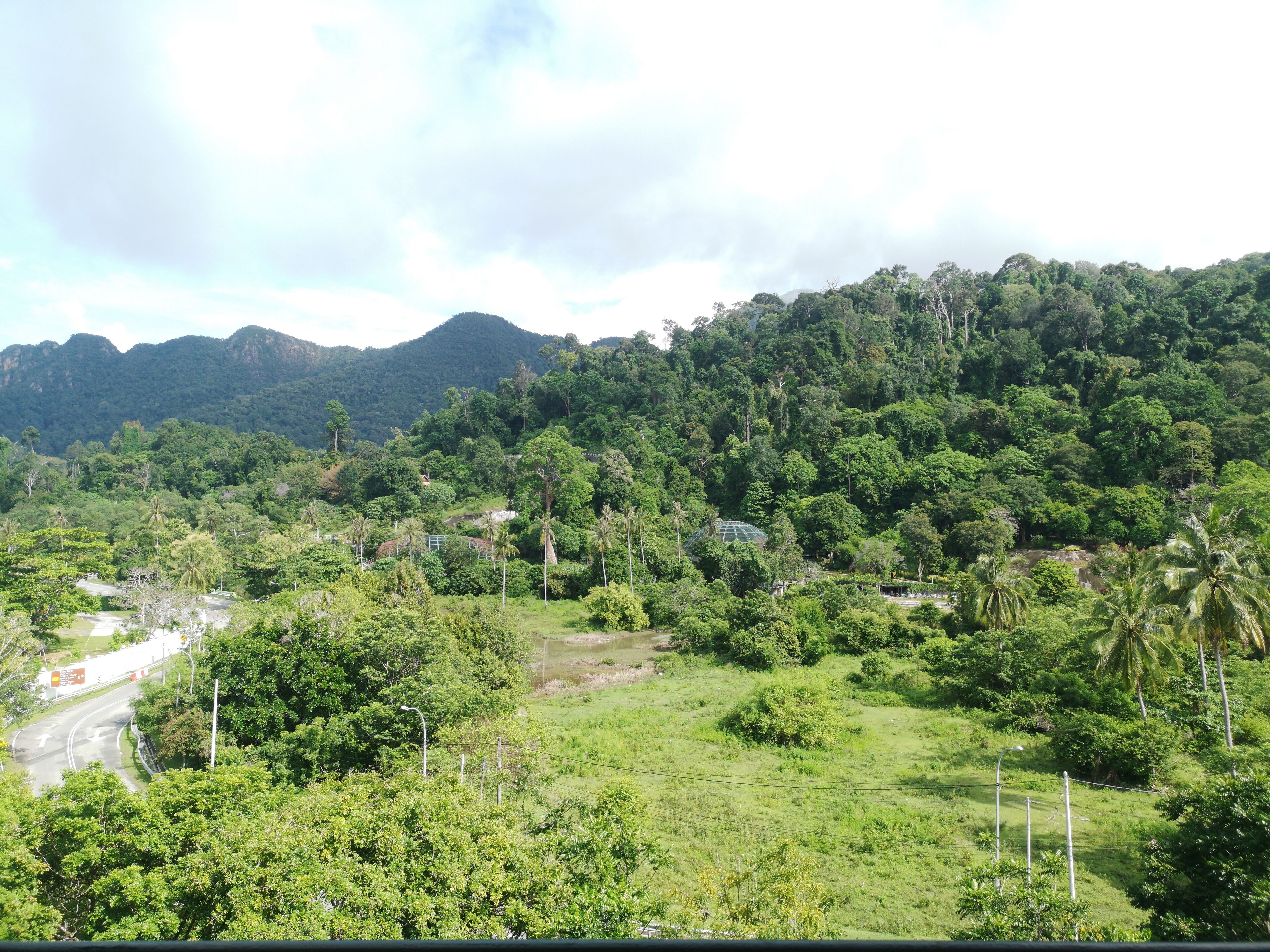 Paisagem verde exuberante com floresta densa e estrada sinuosa.