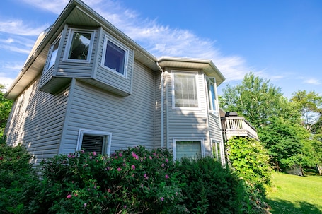 Jardim. Lily's Garden