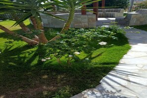Jardim